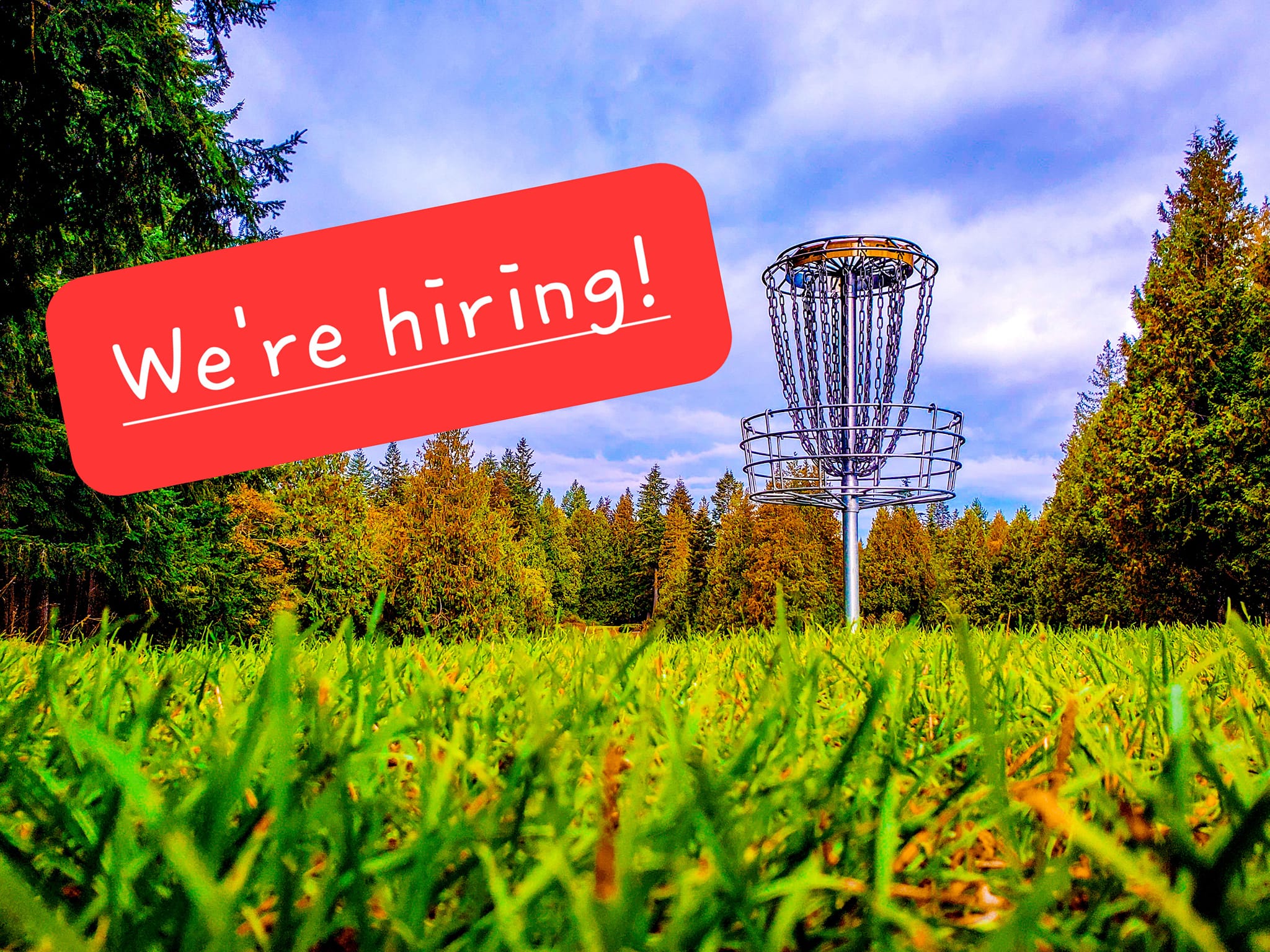 Jobs – Disc Golf Resort